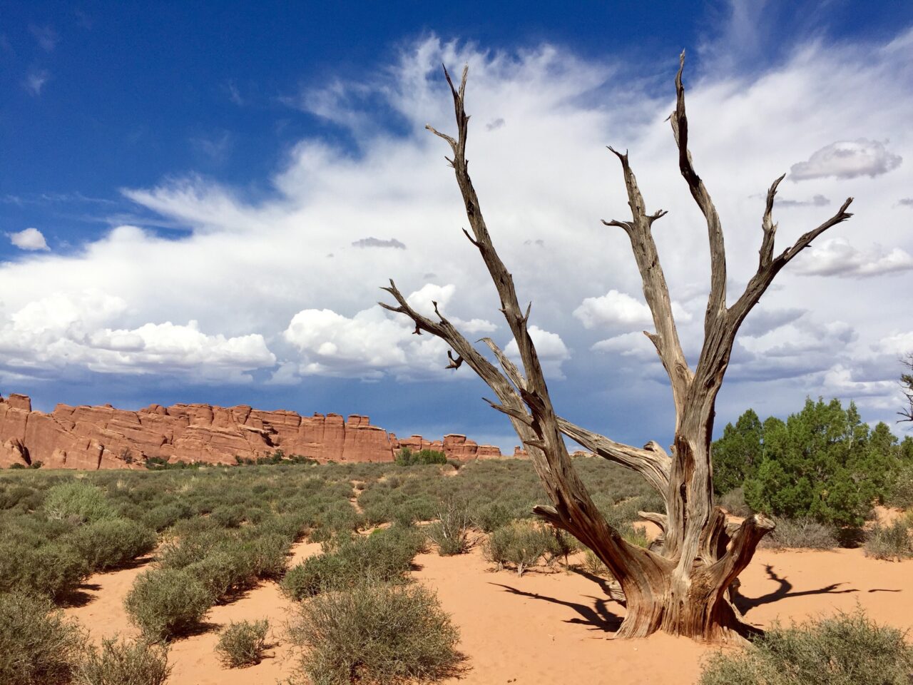 Manna in the Bible…. What is It? (Plus, 3 Lessons Manna Can Teach You ...