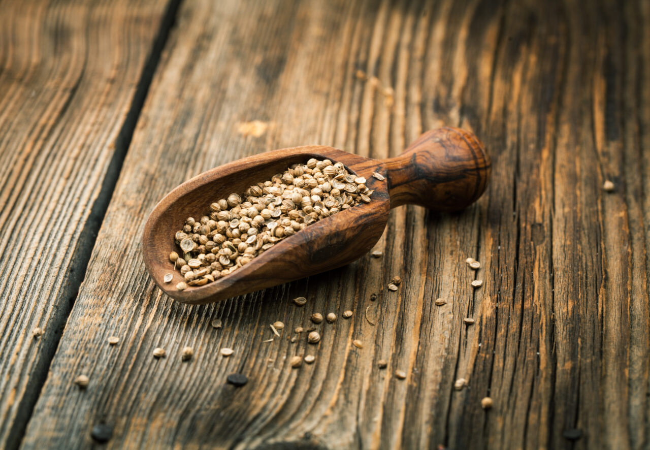 Manna in the Bible…. What is It? (Plus, 3 Lessons Manna Can Teach You ...