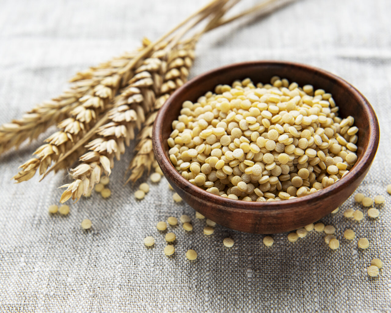 Manna in the Bible…. What is It? (Plus, 3 Lessons Manna Can Teach You ...