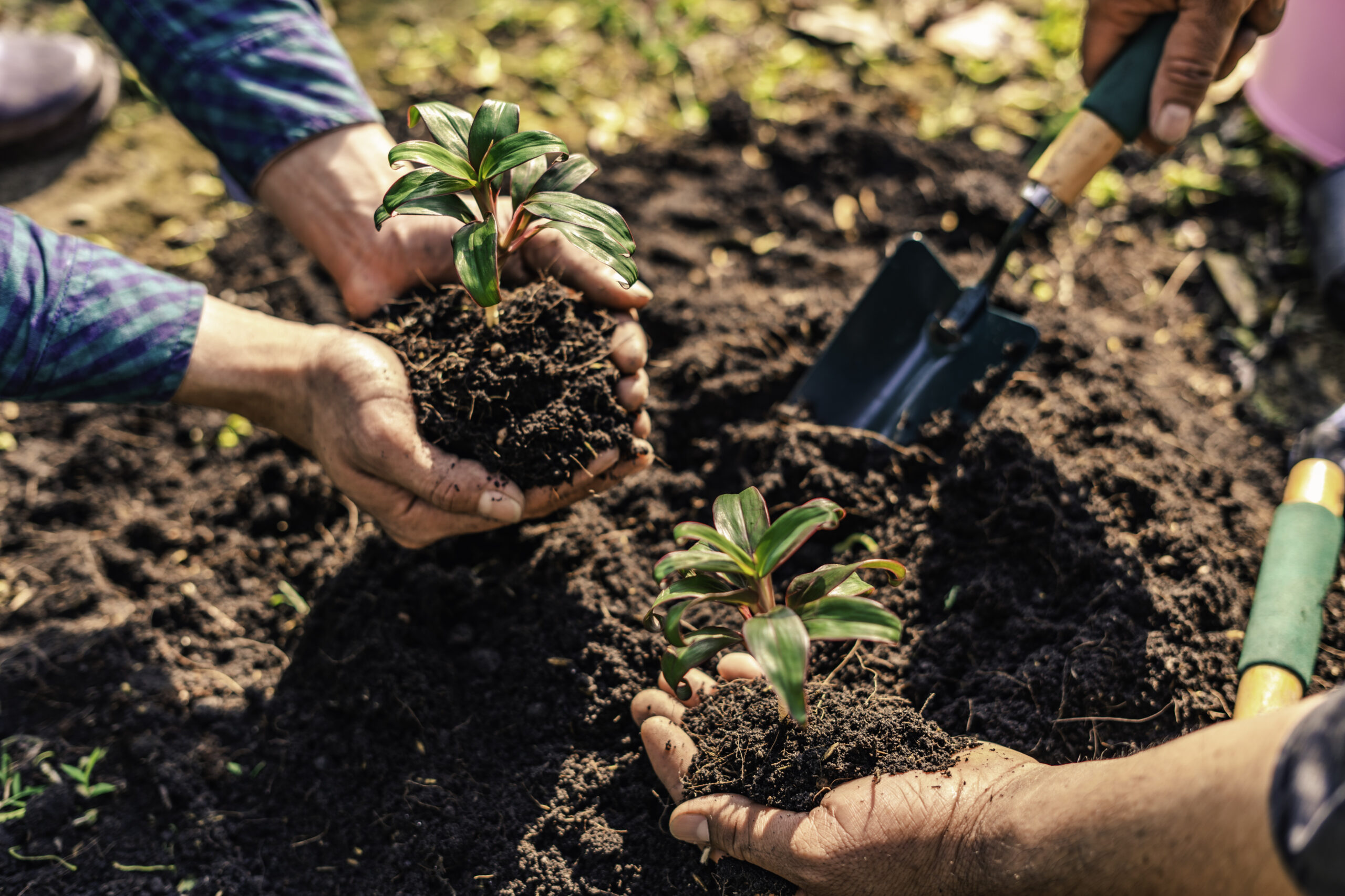 The Parable of the Sower: 3 Biblical Lessons for Building Wealth ...